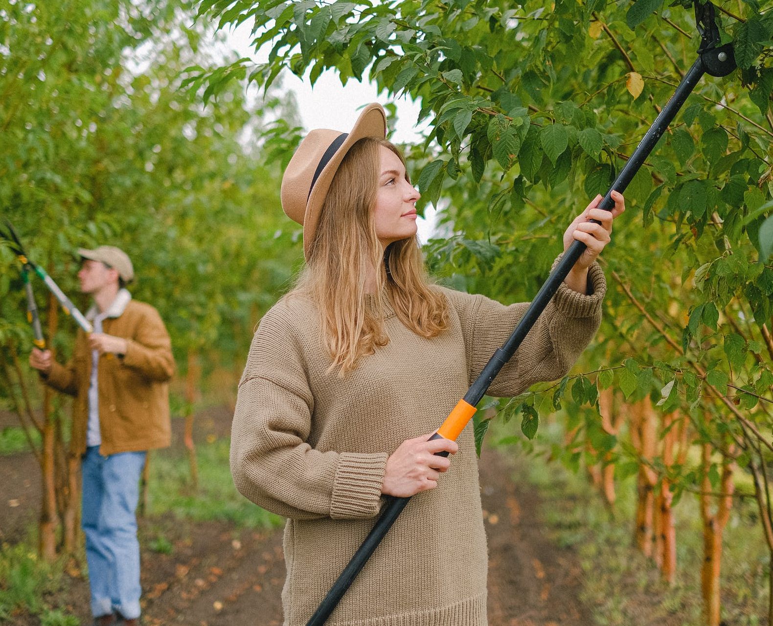 Jak a kdy stříhat ovocné strony [RÁDCE] - Zboží.cz